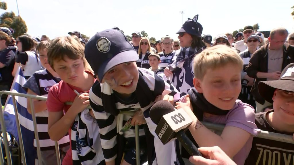 Geelong Cats fans celebrate grand final win at Kardinia Park - ABC News