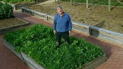 Pete's Patch: Crop Rotation - Gardening Australia