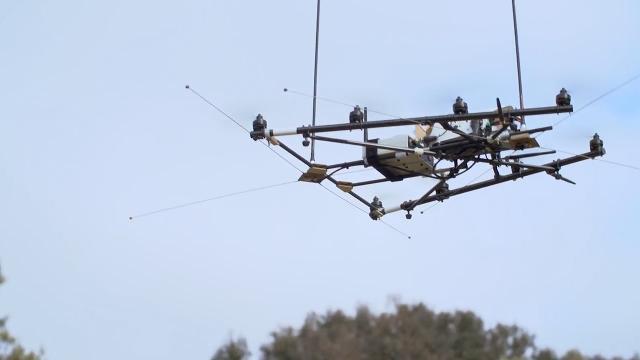 Drones track endangered Australian animals - ABC Education