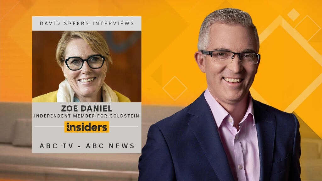 Interview with Independent MP Zoe Daniel - ABC News