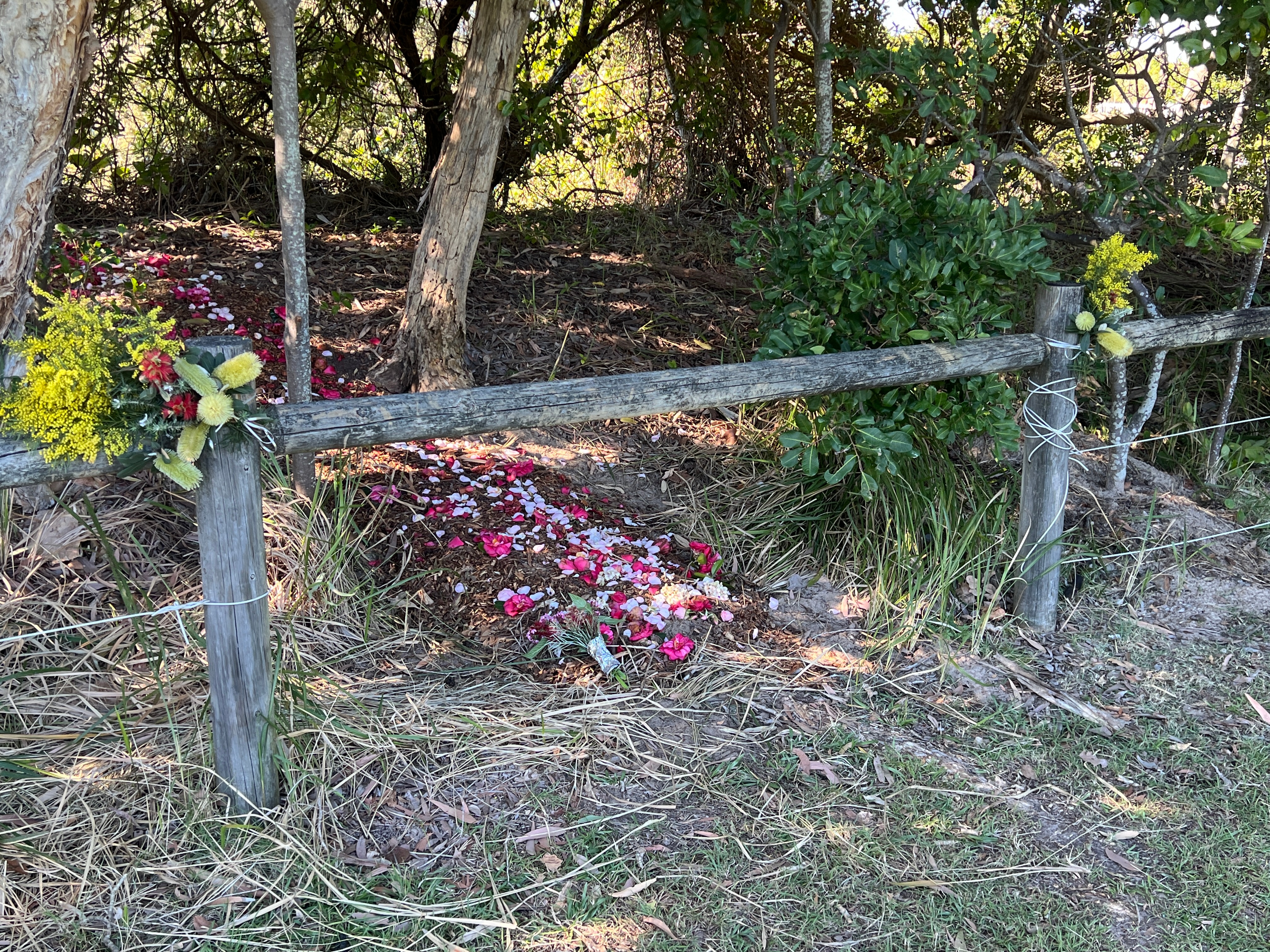 Forensic testing reveals human remains found in Coffs Harbour belong to ...