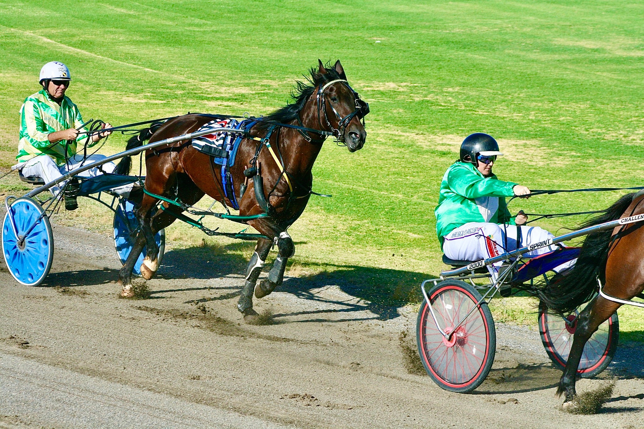 Broken Hill Harness Racing officials optimistic for 2023 despite ...