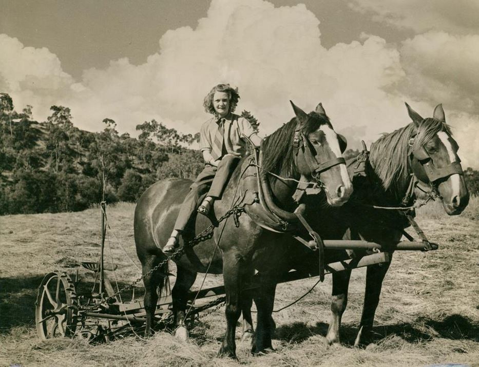 Women's 1930s rural life glimpsed through their letters, but self ...