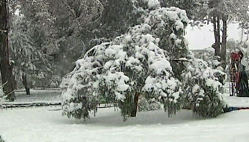 Extreme weather - ABC News