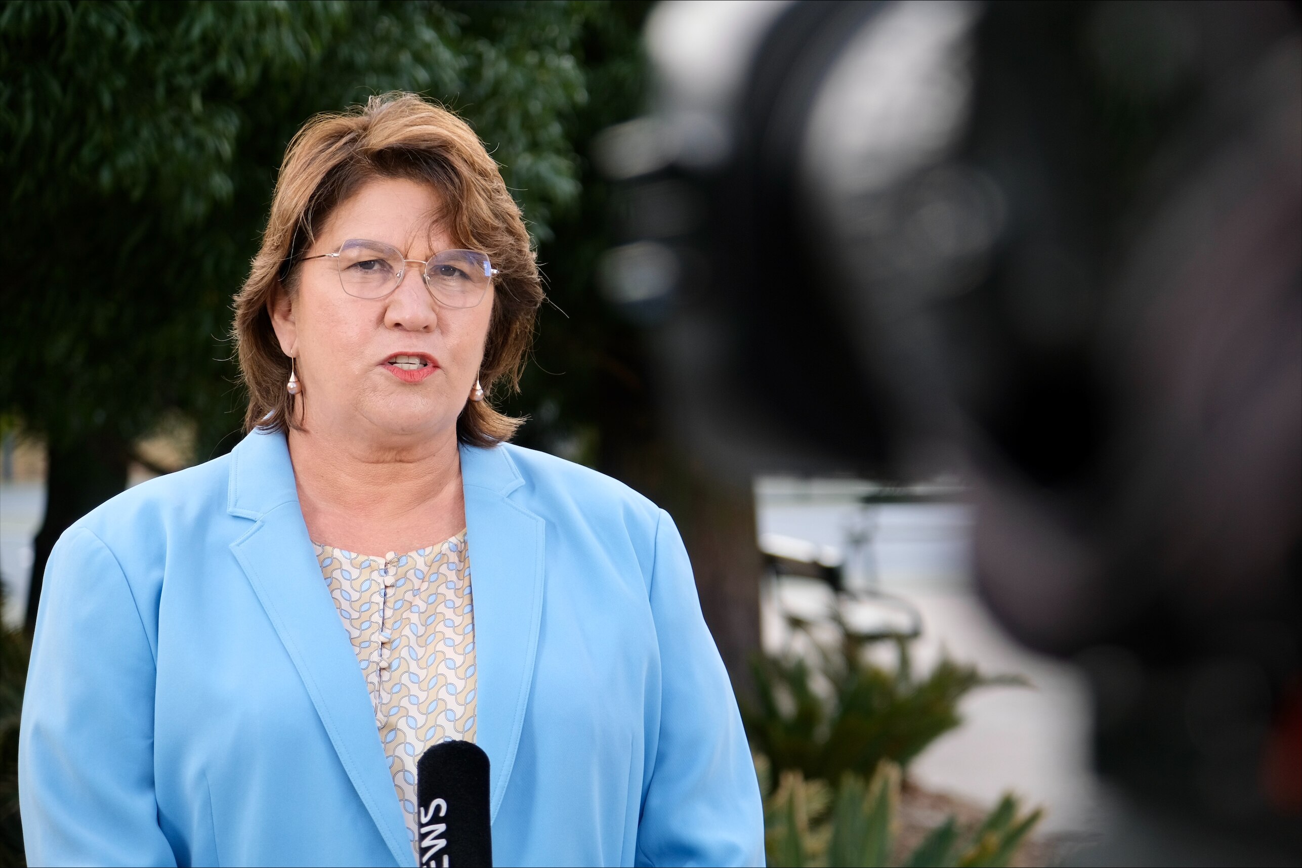 Dutton unveils shadow cabinet ahead of election year - ABC News