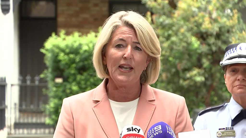 NSW Police Minister decries 'incredibly violent' assault on two off ...