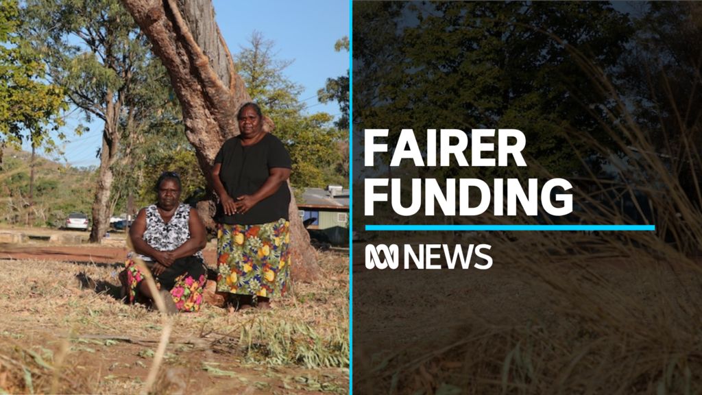 NT calls for larger share of DV funds - ABC News