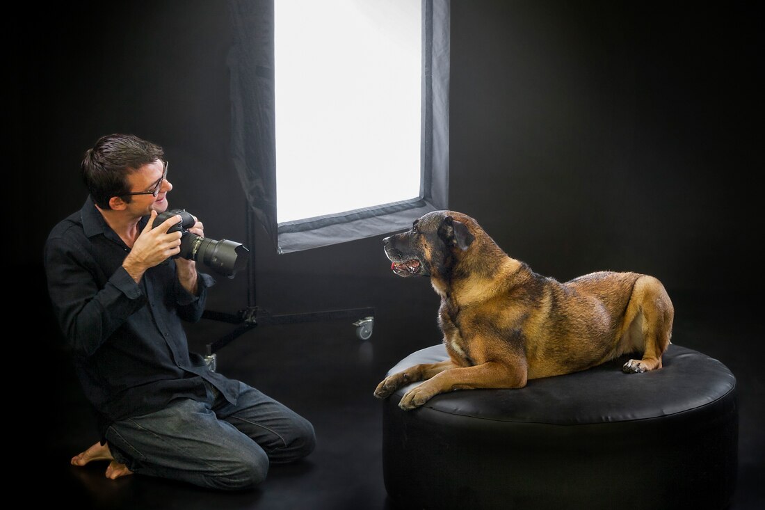 Inside the life of animal photographer of the year Ken Drake - ABC listen