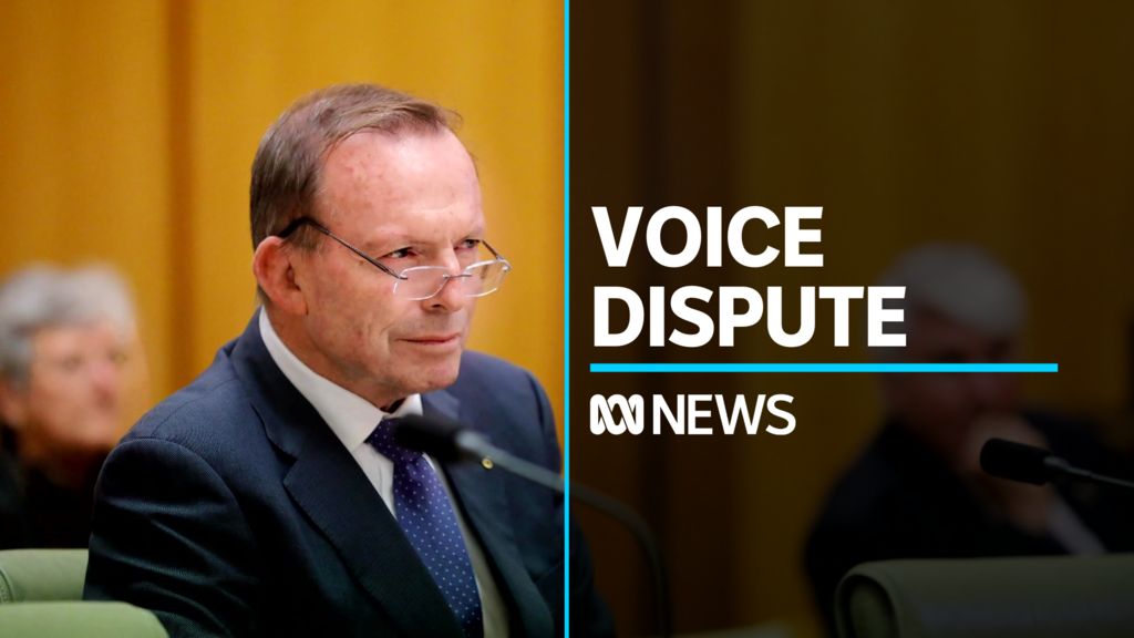 Meet India's first blind stand-up comedian - ABC News