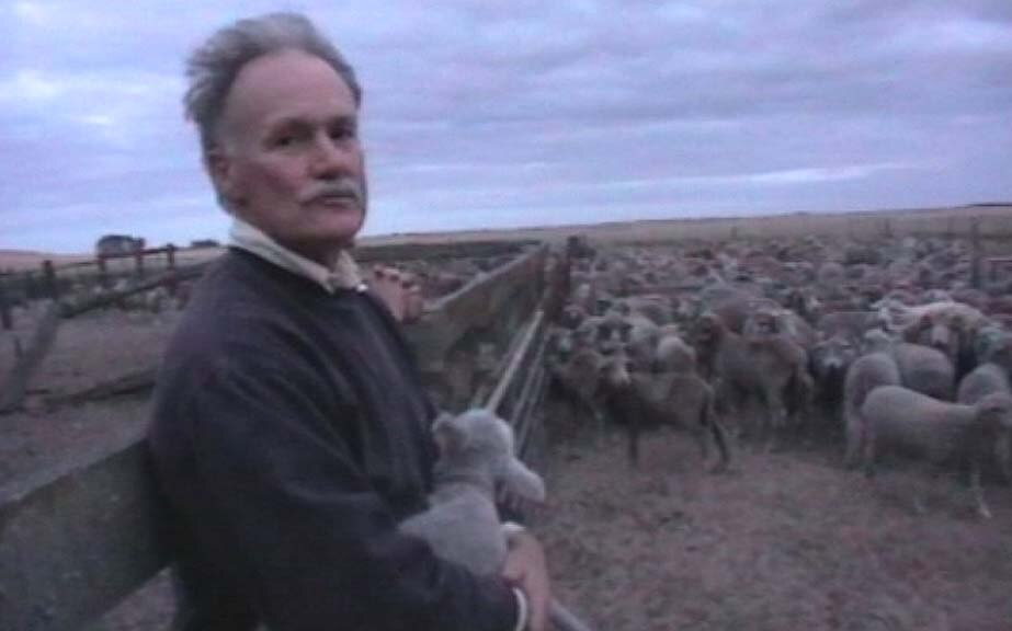 Former mayor fined for illegally clearing native vegetation to plant ...