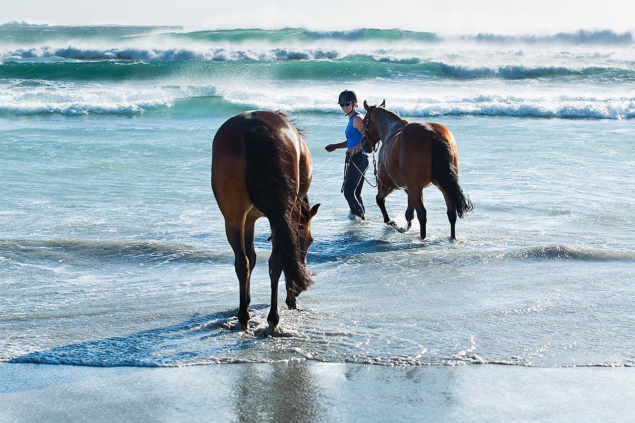 King Island loves the horses: 125 years of racing in the middle of Bass ...