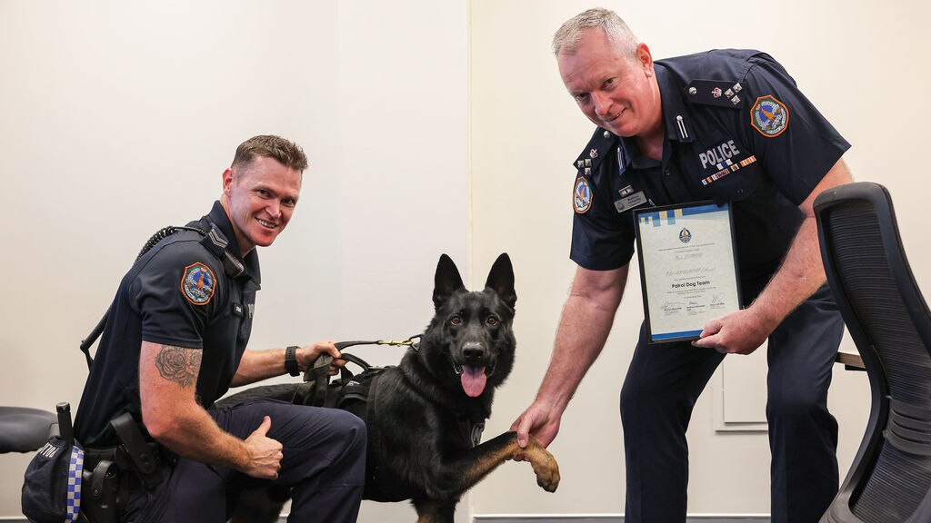 NT Police dog operations unit doubles capacity in Darwin with new ...
