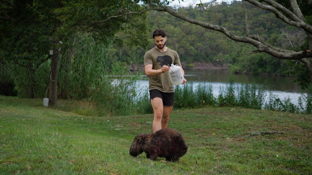 The ‘Wombat Man’ who left his job to fight mange - ABC News