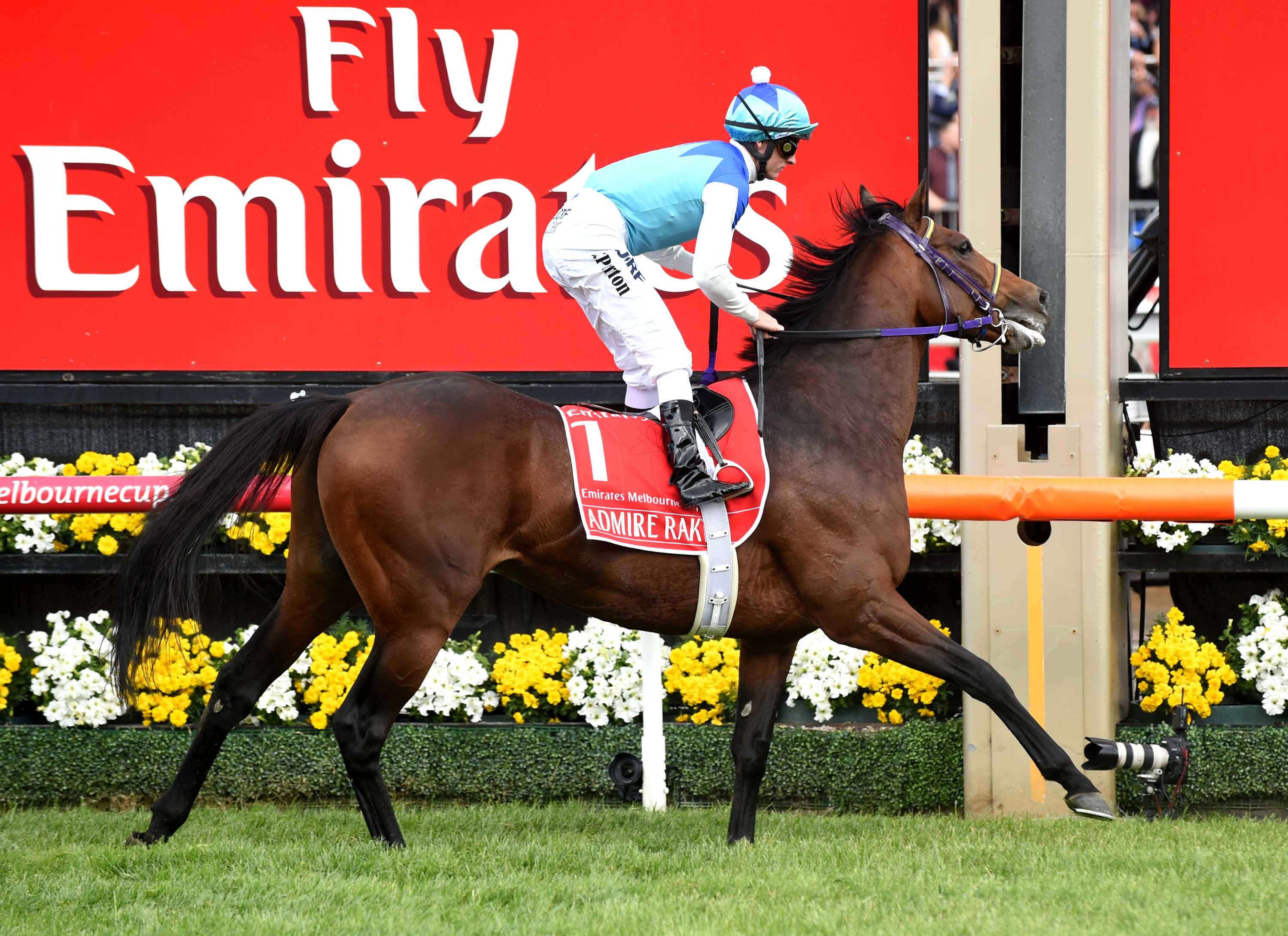 Admire Rakti dies in stalls in Melbourne Cup collapse after finishing ...