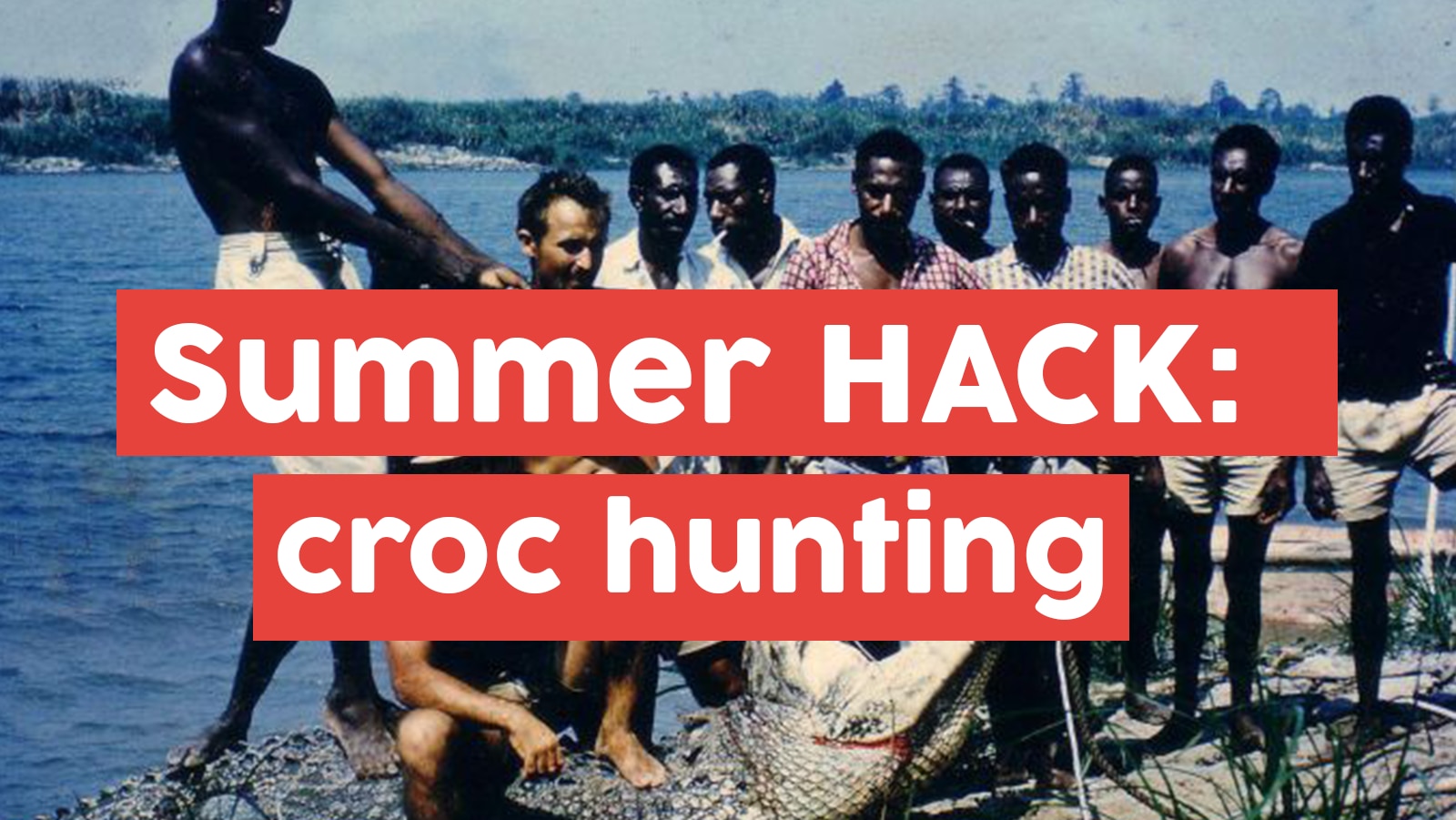 Summer Hack: Battle of the croc hunters - triple j