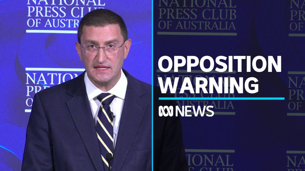 Liberal Party likely to demand changes to Voice wording - ABC News