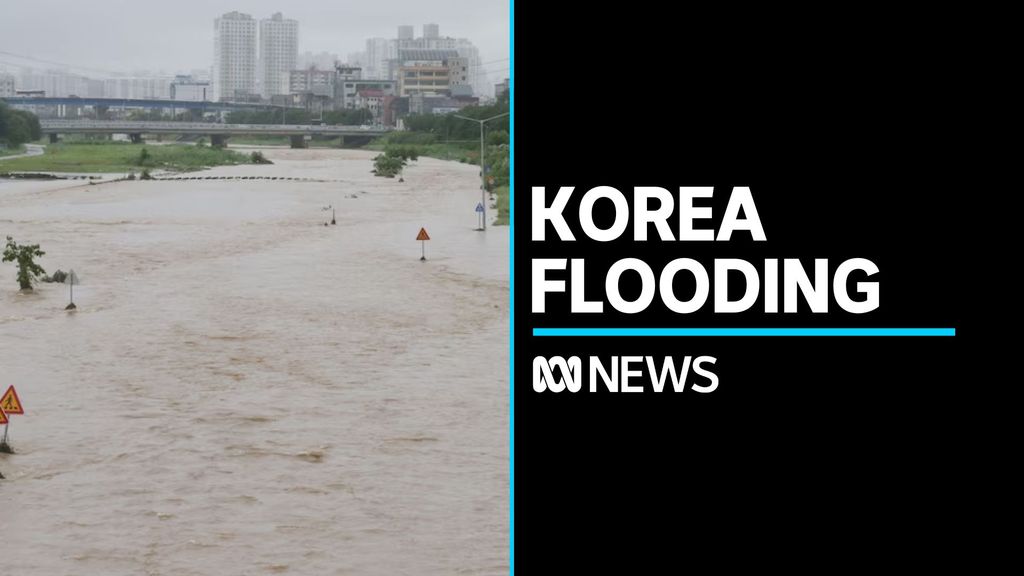 Footage shows the python swallowing a wallaby in far north Queensland ...