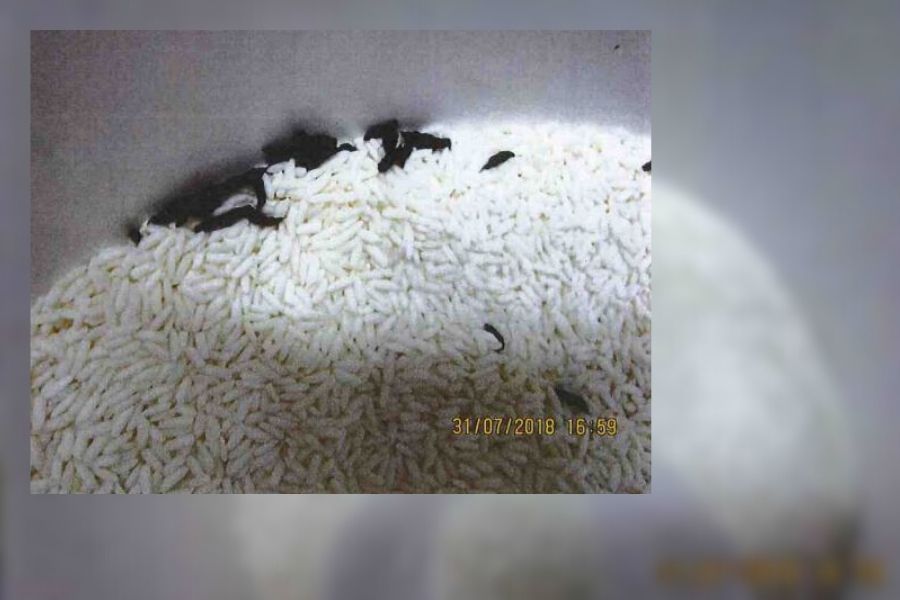 Rat faeces found in rice at Two Sisters Lao Thai Cuisine in Canberra ...