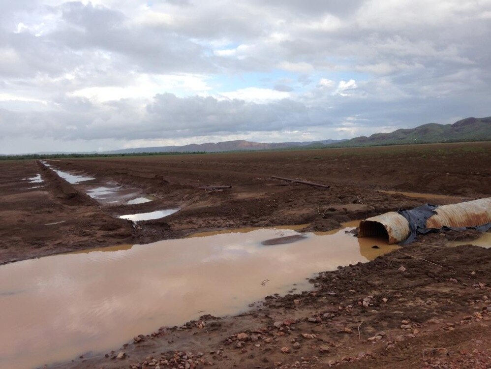 Ord flood damage starts to add up - ABC News