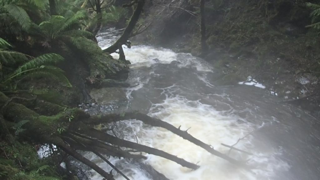 The search for Celine Cremer continues at Philosopher Falls, in ...