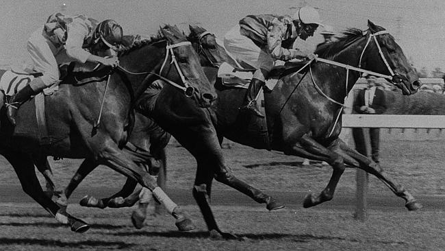 Bart Cummings: A timeline of the Cups King's 89 entries in the race ...