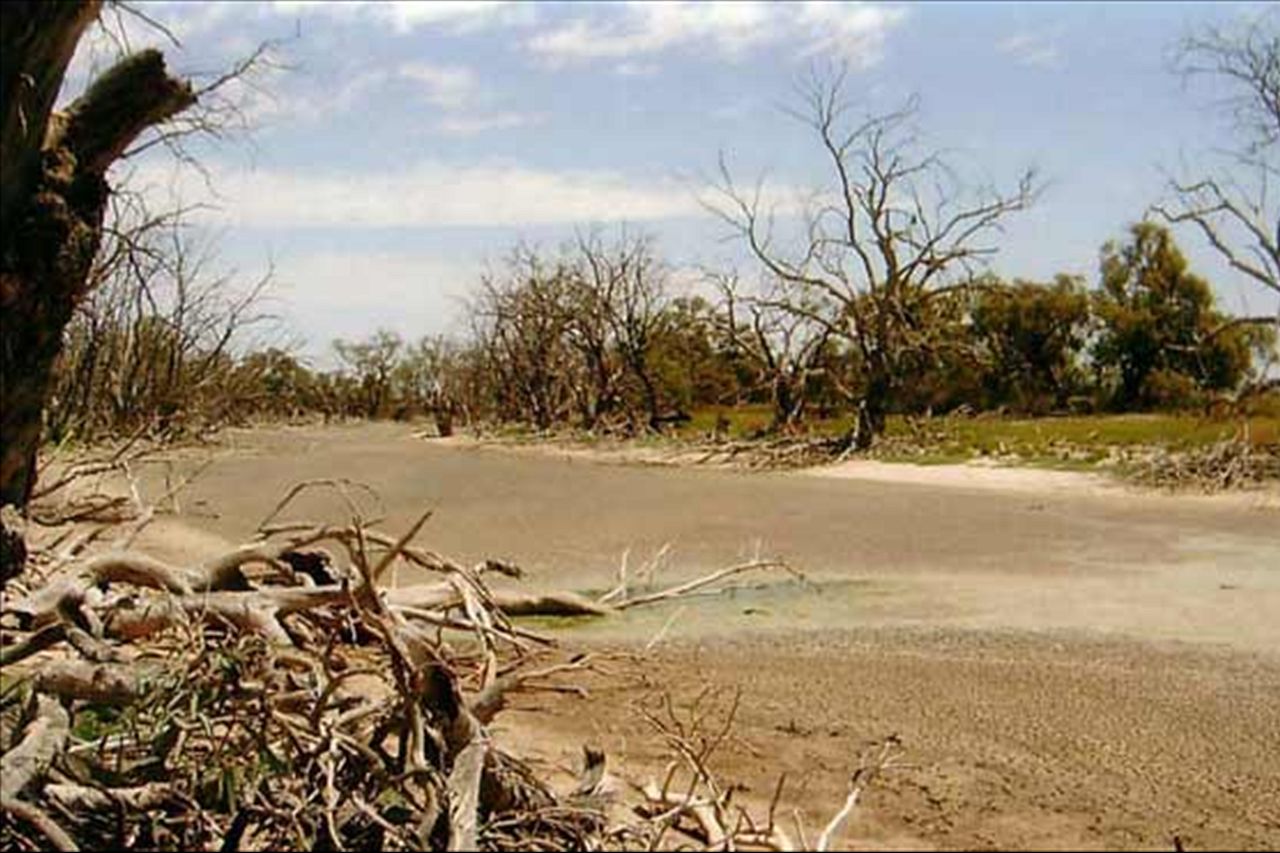 Drought relief unlikely to be extended - ABC News