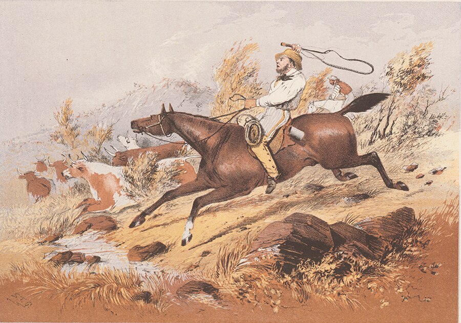 S.T. Gill's picture of colonial Australia goes on display in first ...