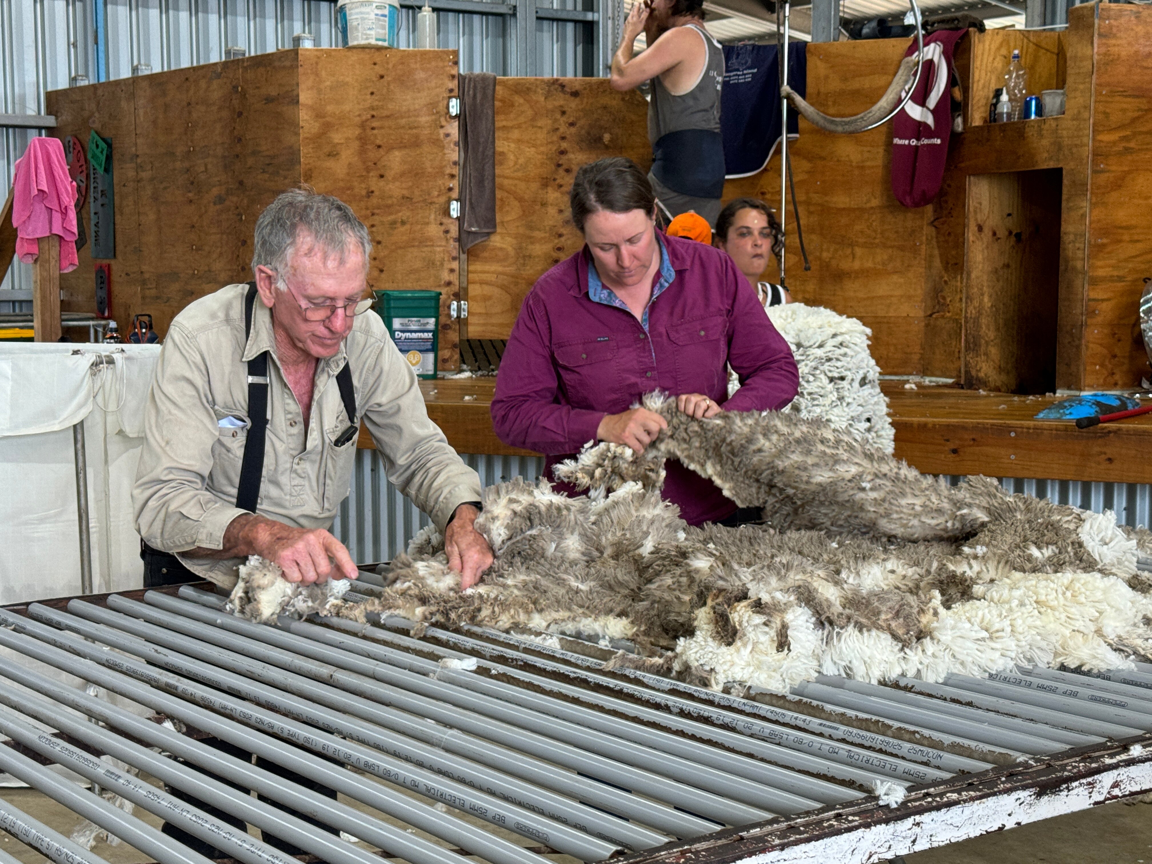 Fashion meets farming as locals start Kangaroo Island Wool Mill - ABC News