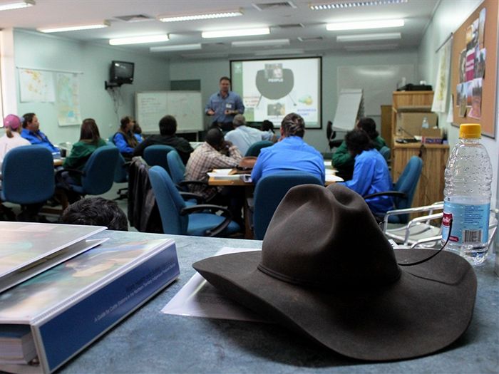 Livestock welfare, safety, indigenous training focus - ABC News