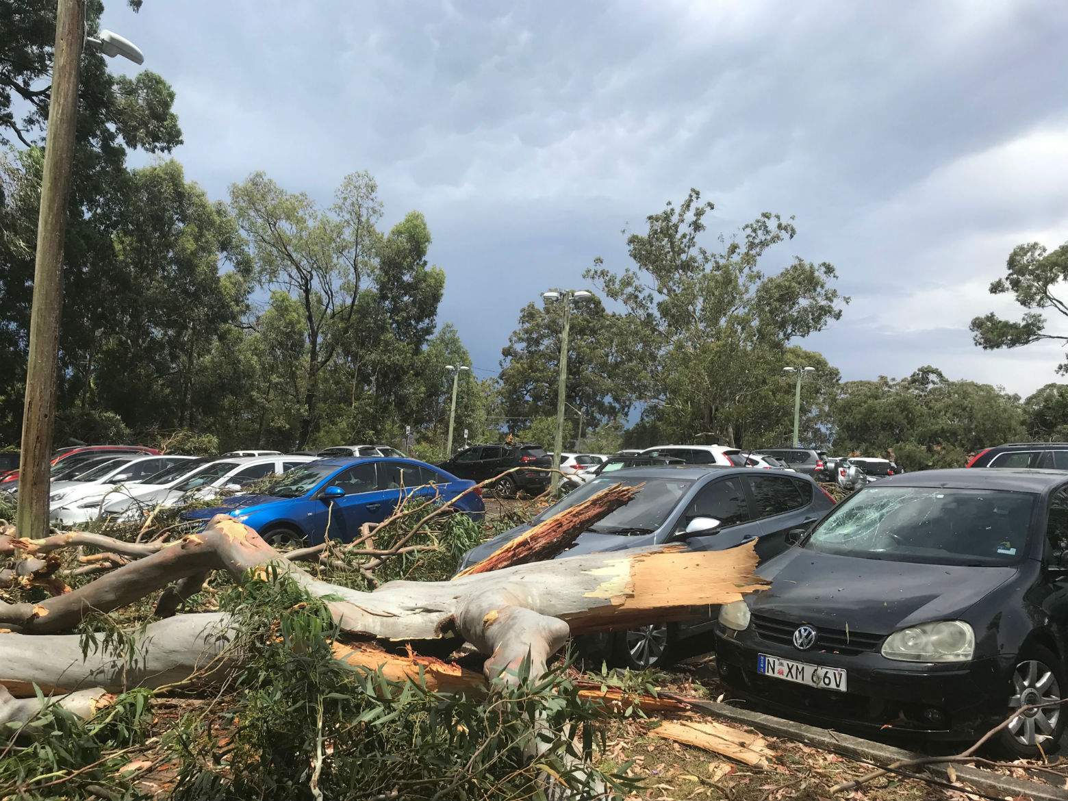 Severe weather warning sees thunderstorm lash Sydney, damaging power ...
