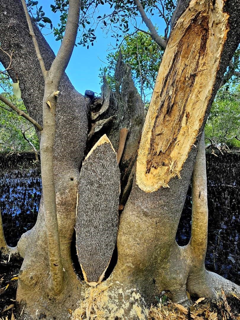 Woodwork helps Indigenous war veteran process 'traumatic' Rwanda ...