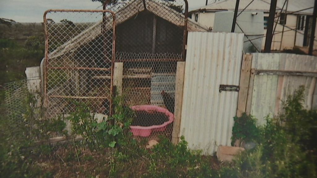 Mercy plea from woman to be sentenced in "abhorrent" abuse case - ABC News