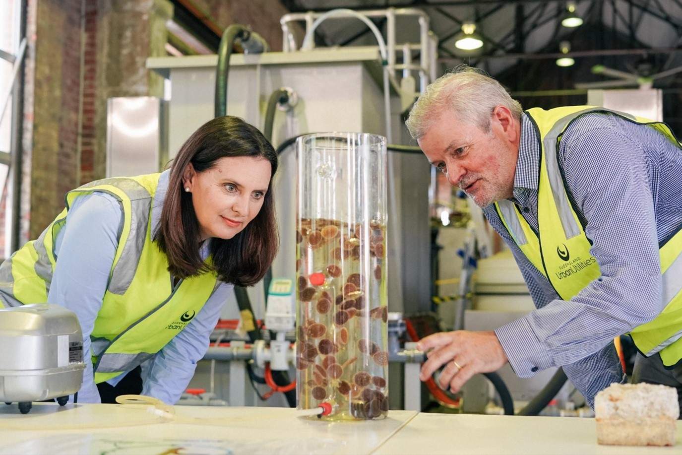 Meet Australia's first homegrown, poo-loving superbugs that are ...