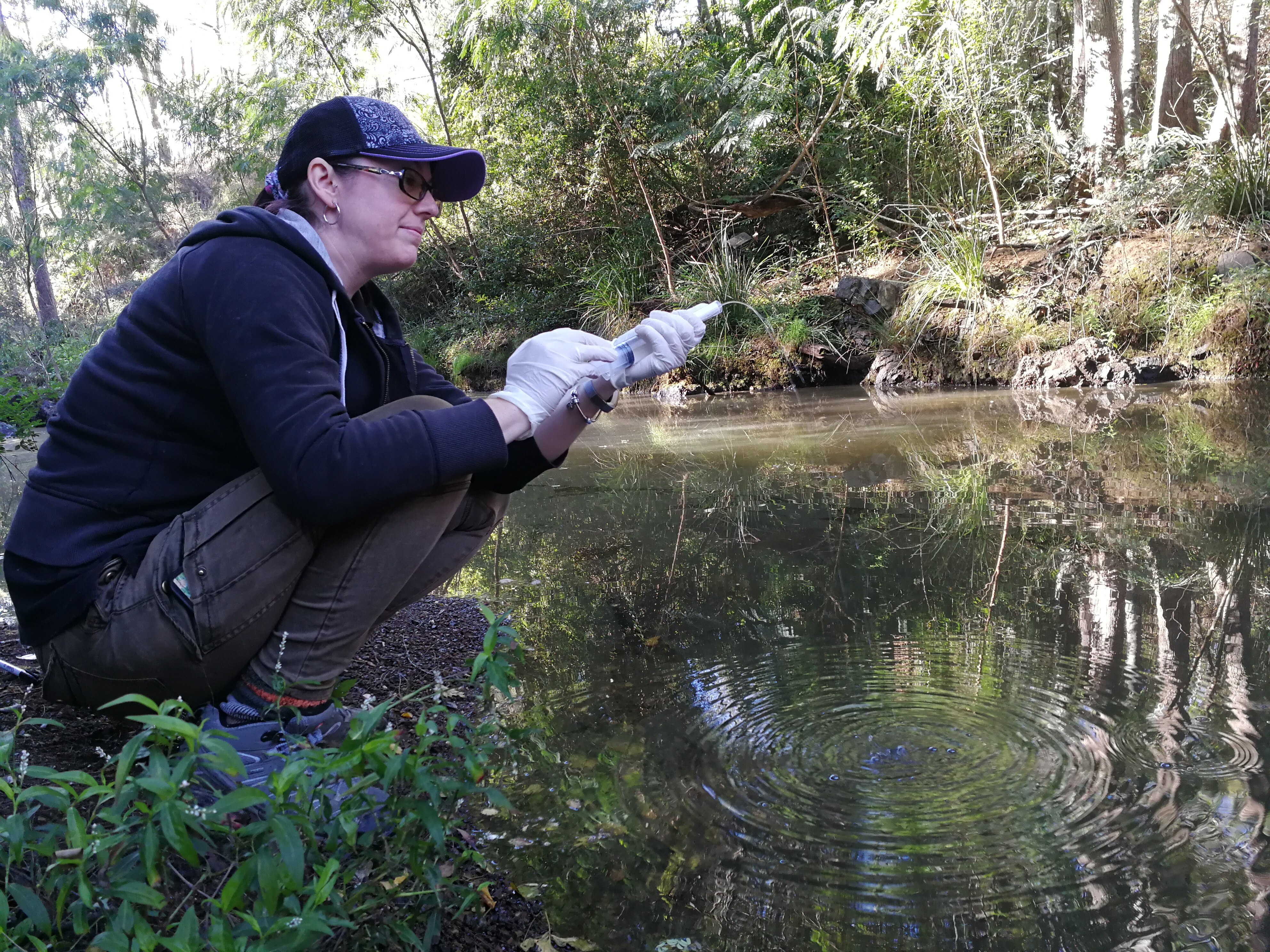 Queensland Fisheries survey seeks feedback on potential 'opera house ...