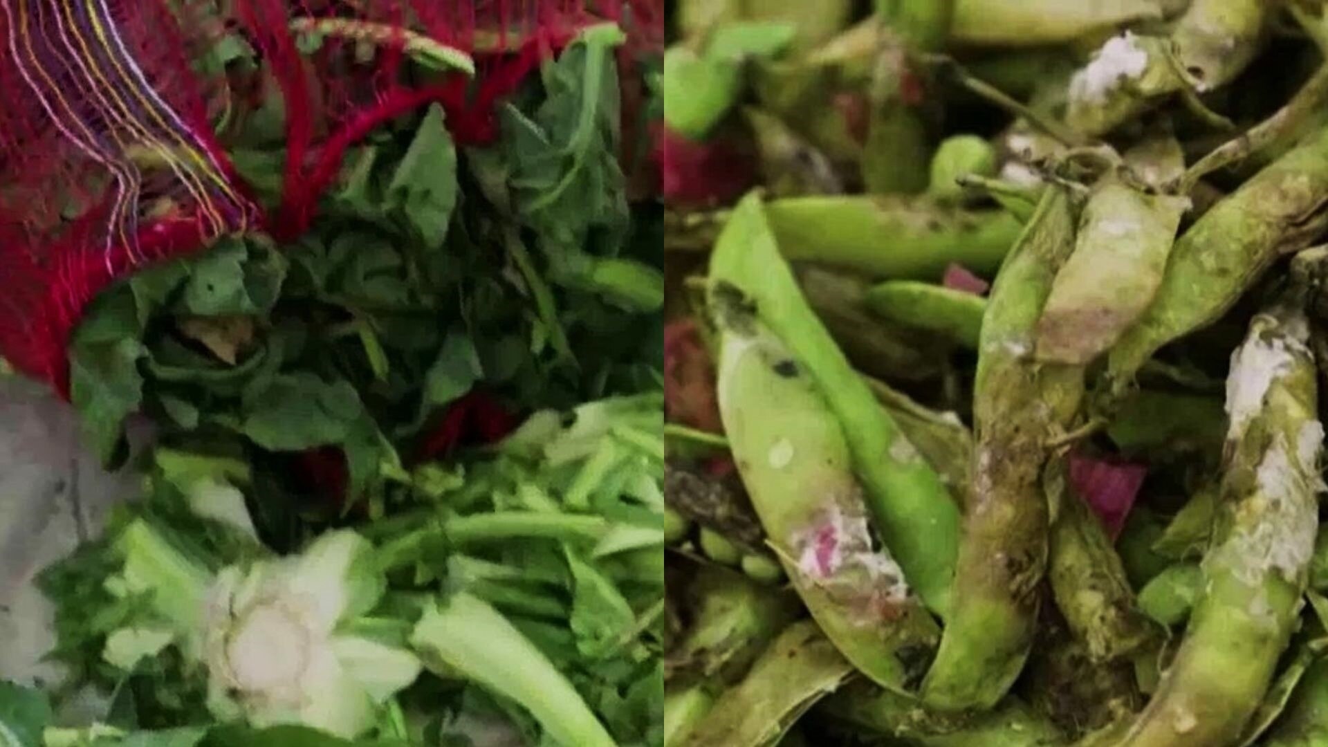 'New look at very old mystery': Hidden void found in Great Pyramid ...