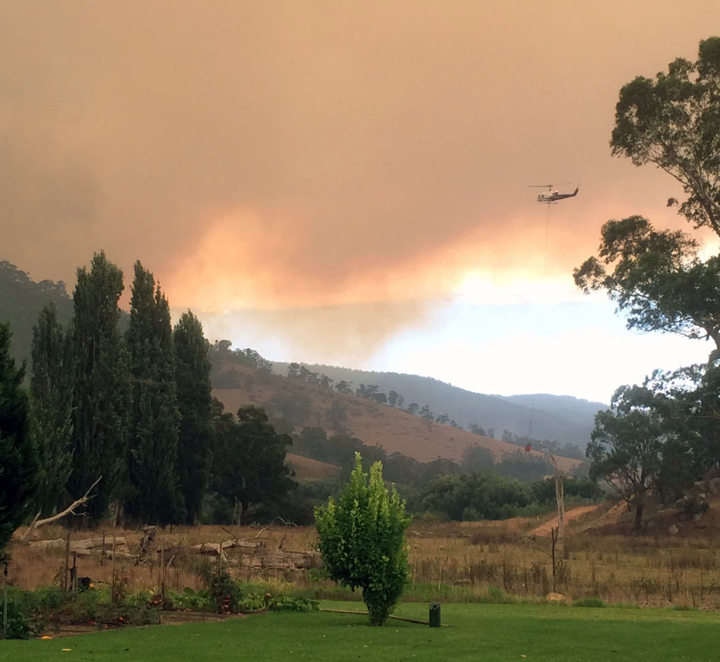 Bunyip bushfire's devastation revealed as Dargo blazes intensify in ...