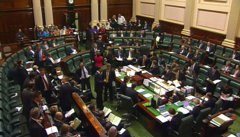 Victorian lower house passes abortion law - ABC News