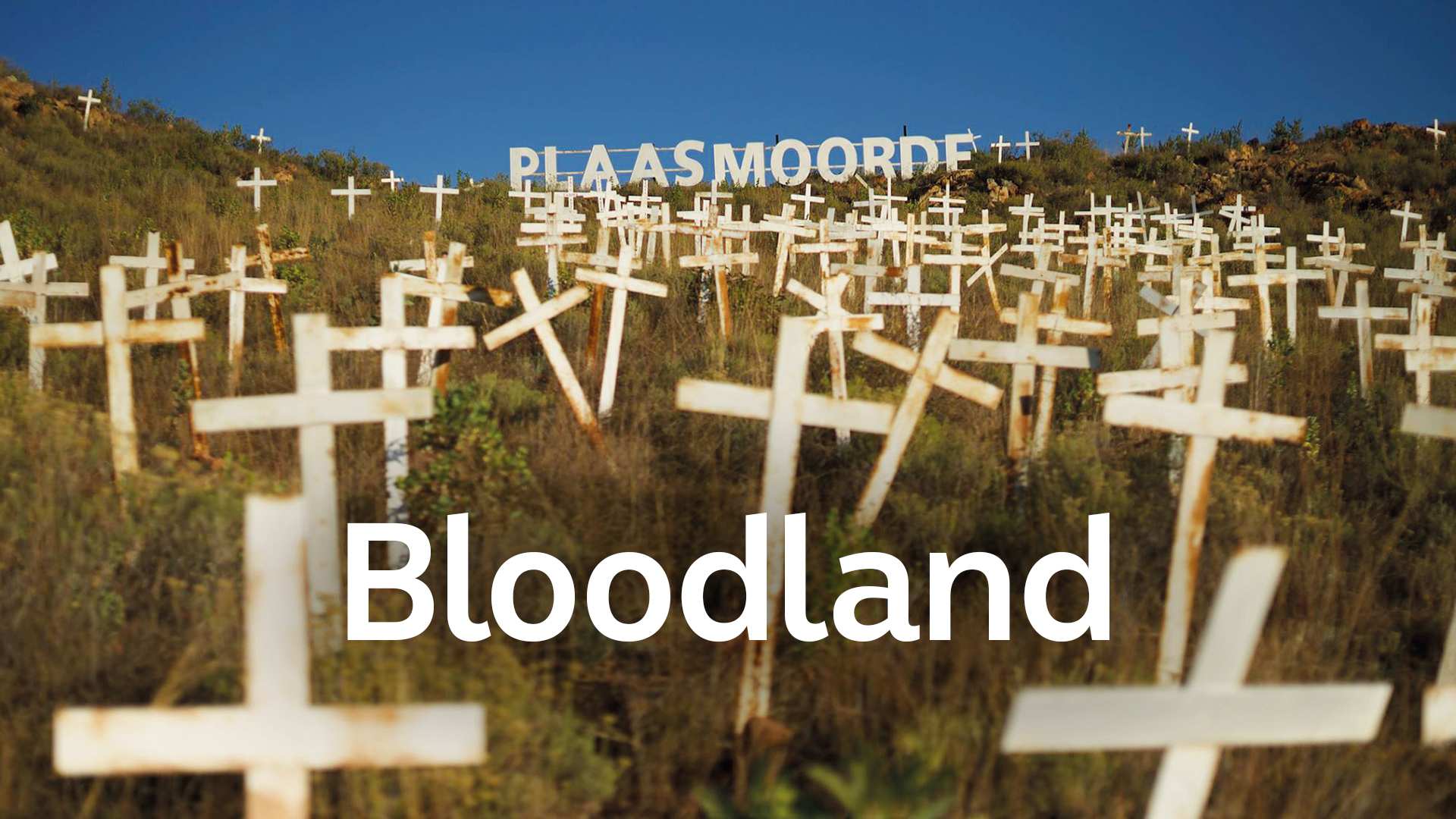 Bloodland - ABC Content Sales