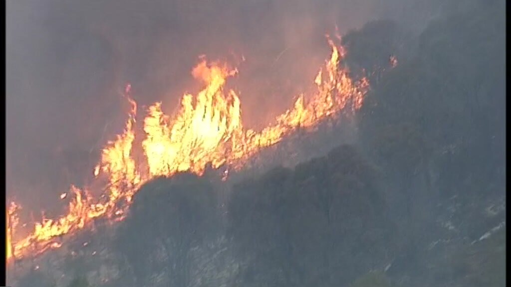 Bushfire continues to burn in Adelaide Hills conservation park - ABC News