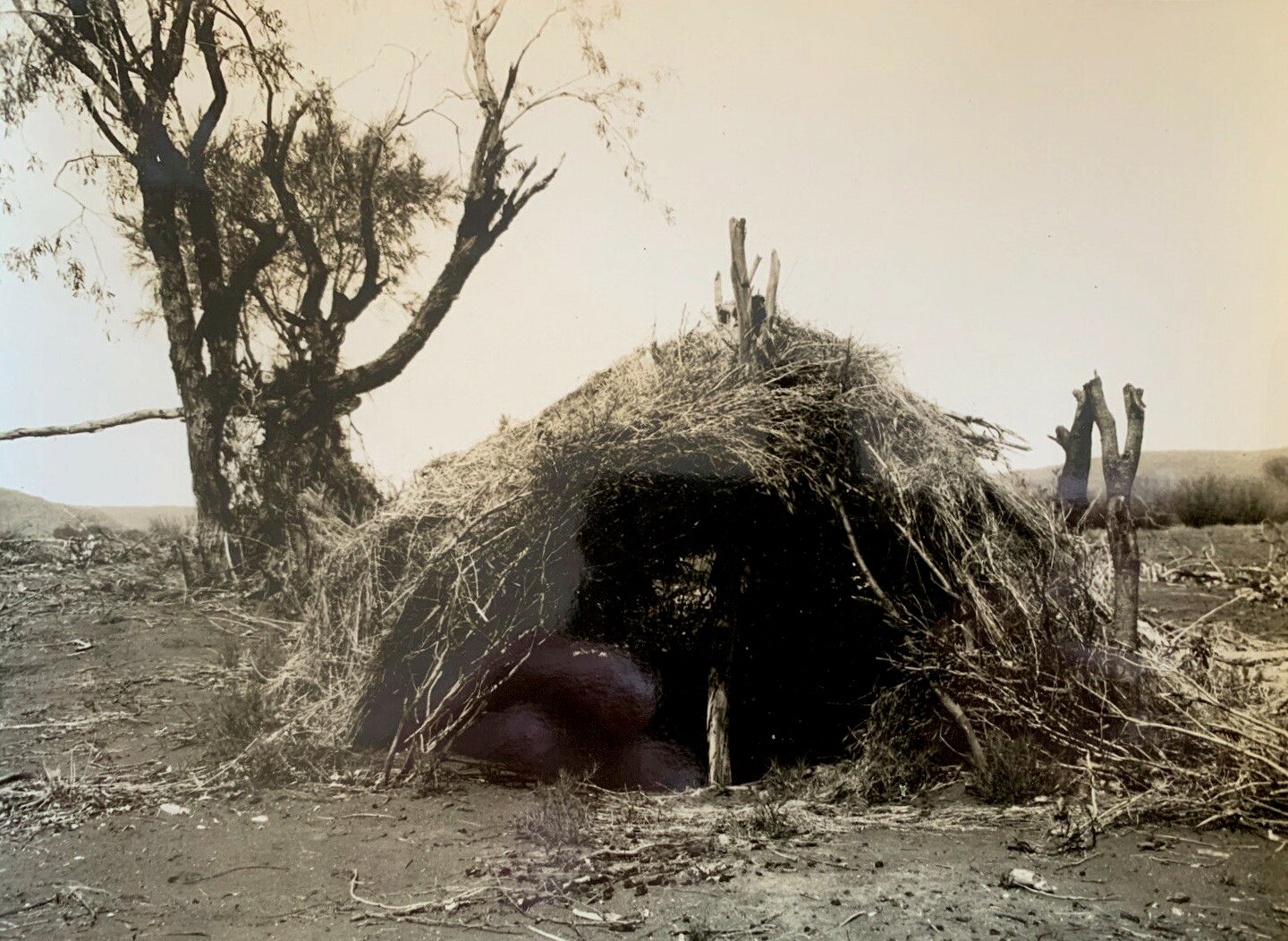 Busting Australia's myth of 'architecture nullius' - ABC listen