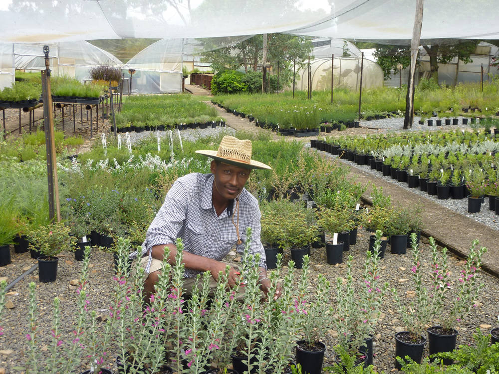 Congolese refugee calls for overhaul of re-settlement services in ...