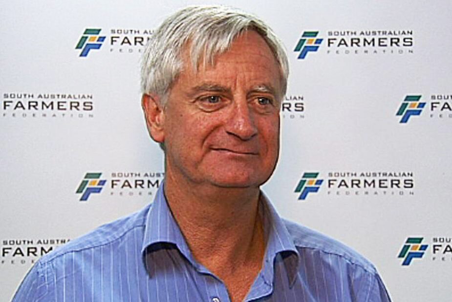 SAFF president stepping down - ABC News