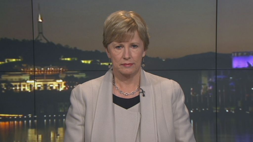 Christine Milne says Greens would work with Jacqui Lambie on bank levy ...