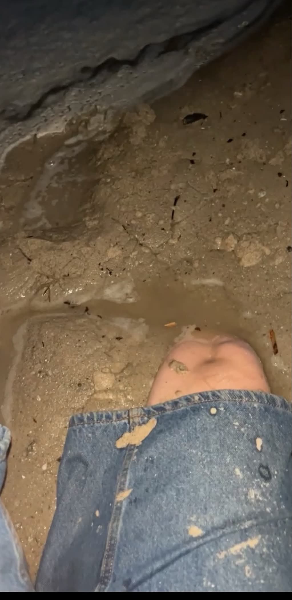 Woman rescued after getting stuck in quicksand at Glenelg North shares ...