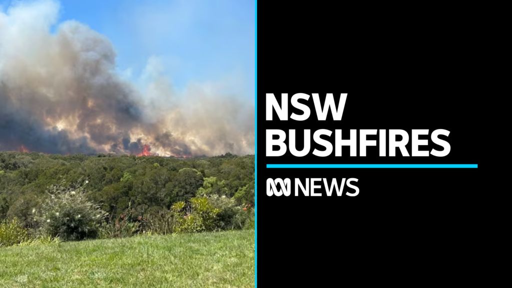 One dead, more properties feared lost as NSW bushfire threat continues ...