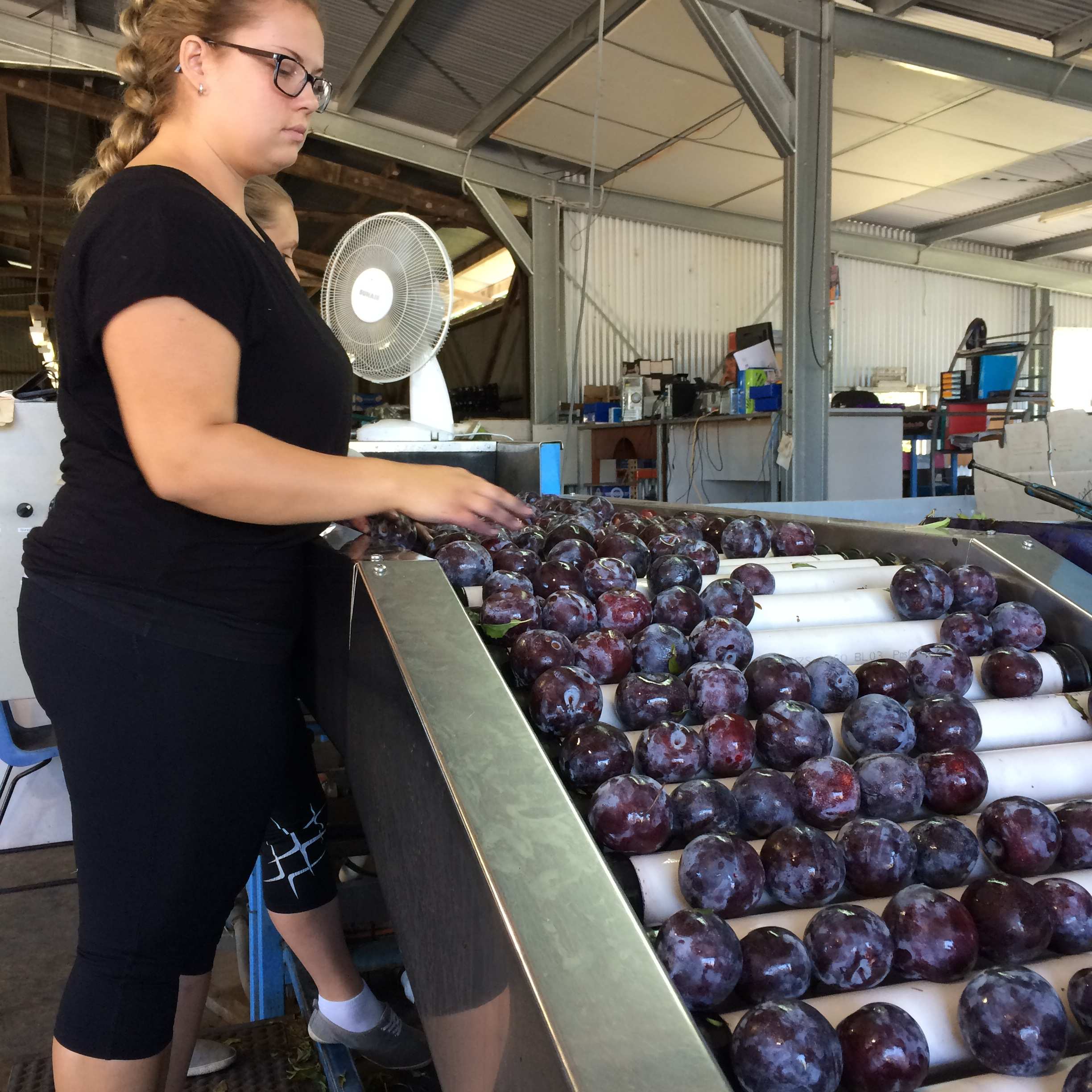 Queensland Government to make millions as interest in Queen Garnet ...