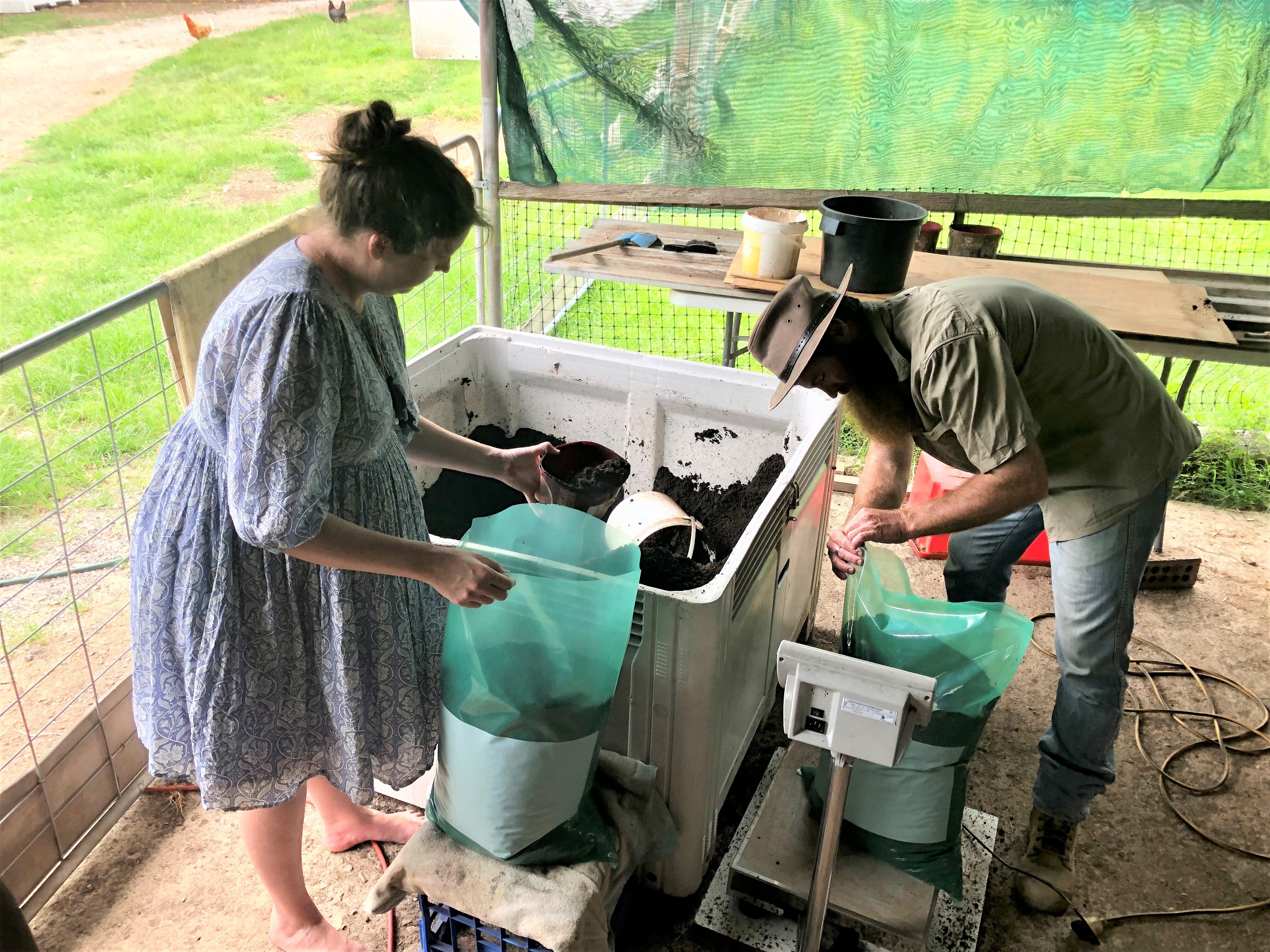 Sustainable worm farming business booming at Stony Creek, creating a ...