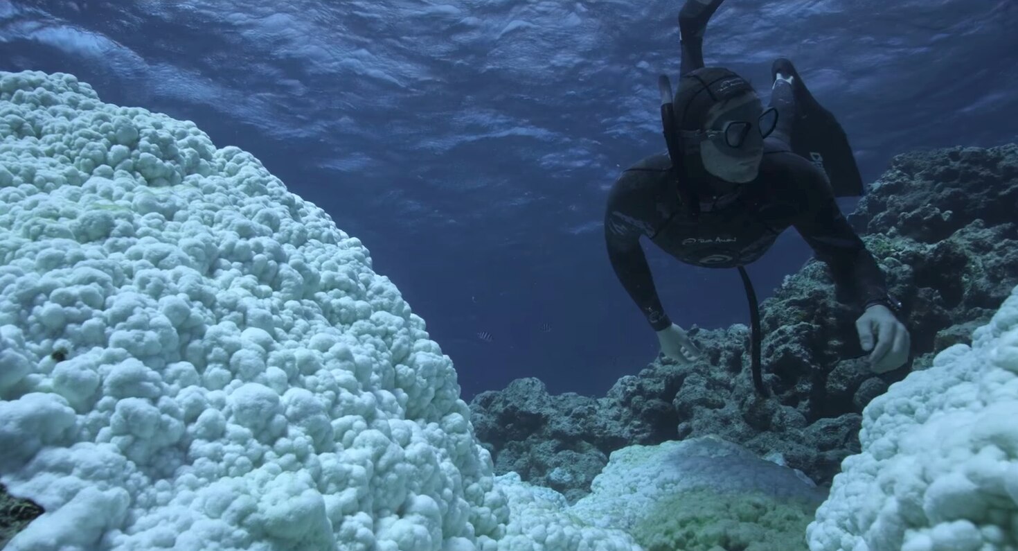 ‘Caring is becoming cool’: How a new movement hopes to saves the world ...