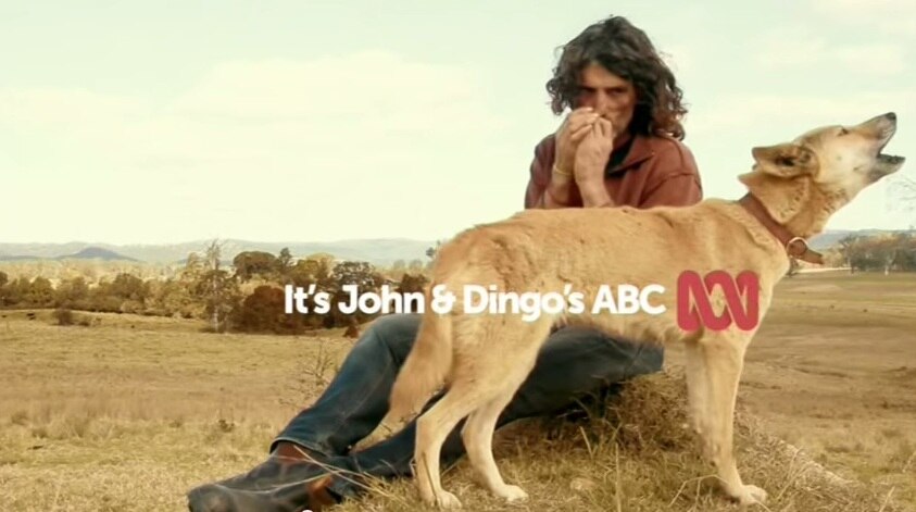 Kate Torney - ABC News