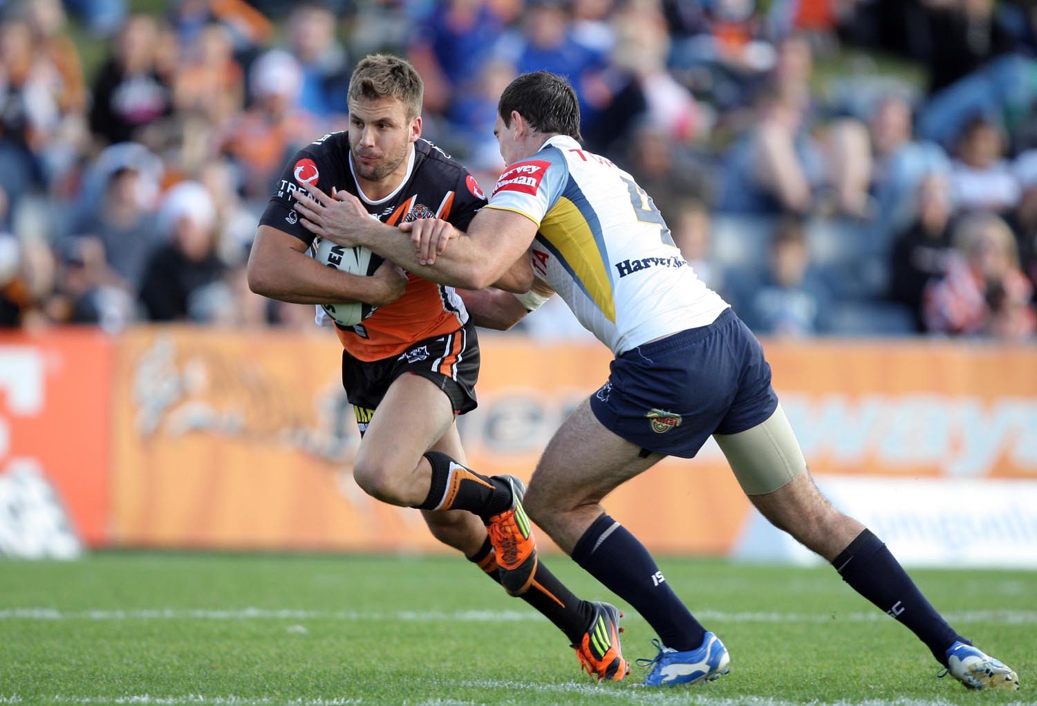 Sharks deal for Ryan denied - ABC News